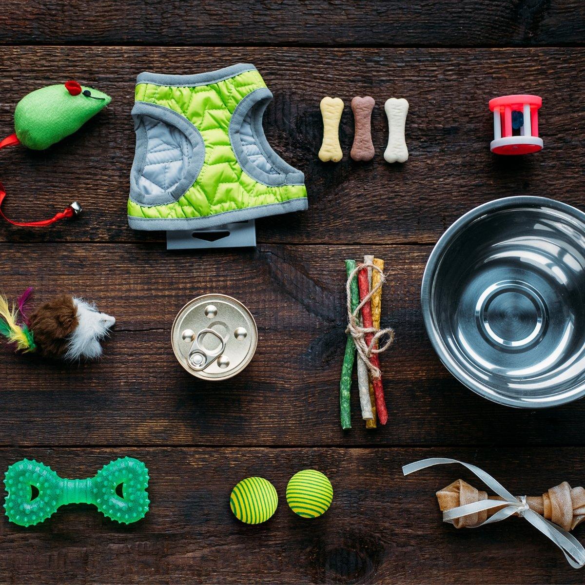 Best Accessories for Dogs | Must-Have Dog Gear 2024 — petpawz.com.au