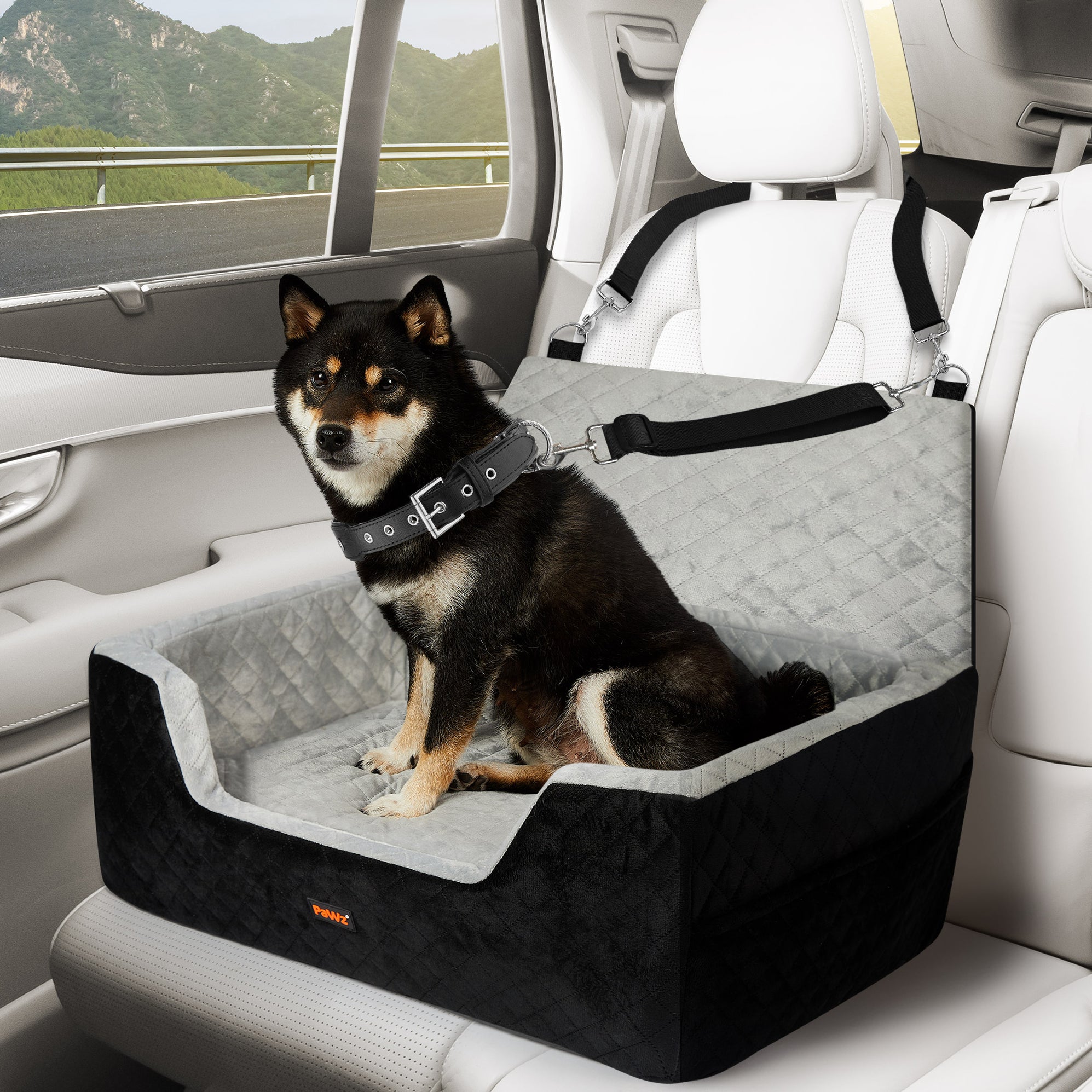 Dog Car Booster Seat | Pawz Australia