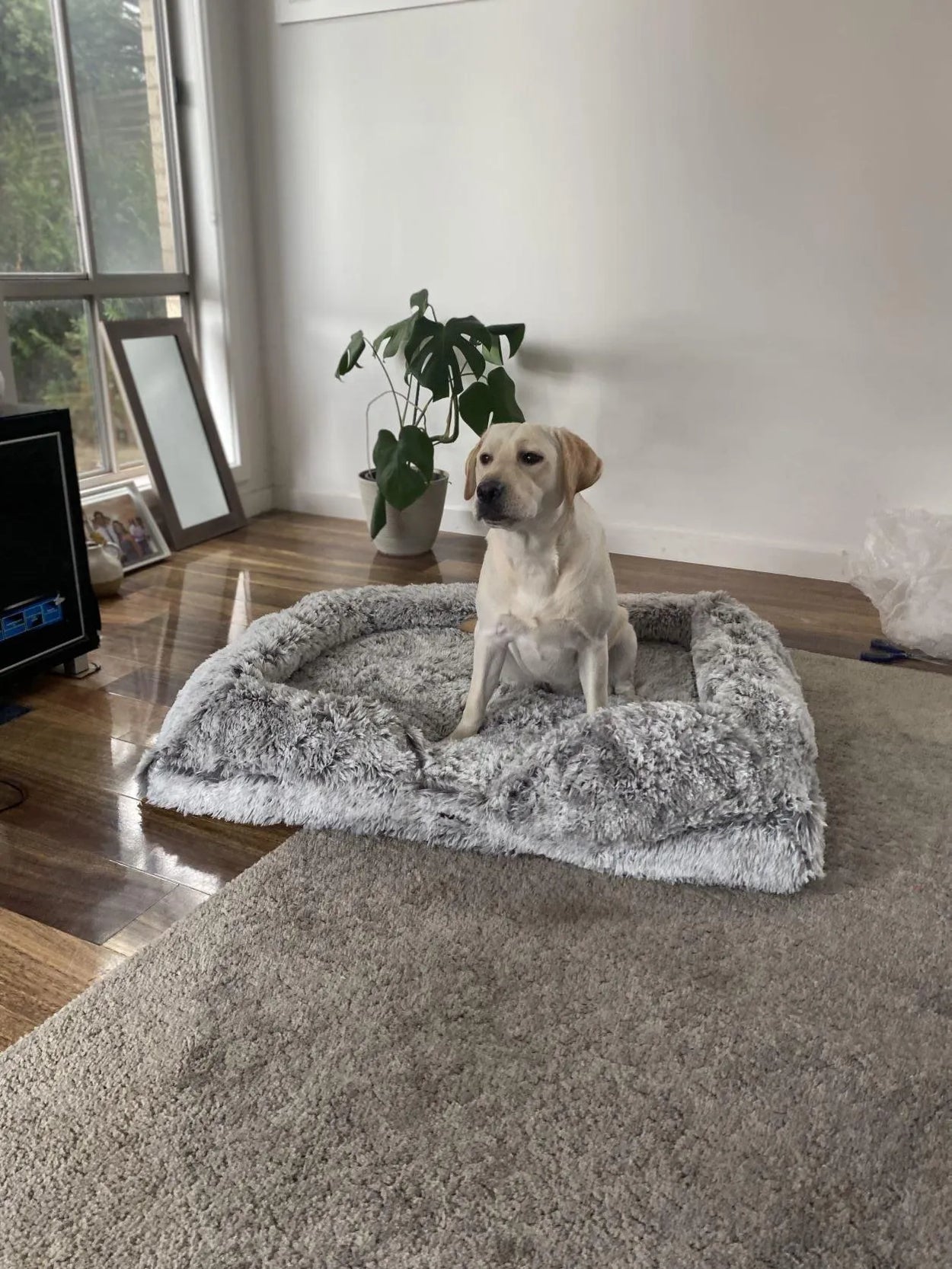 Orthopaedic Dog Bed – Washable Cover