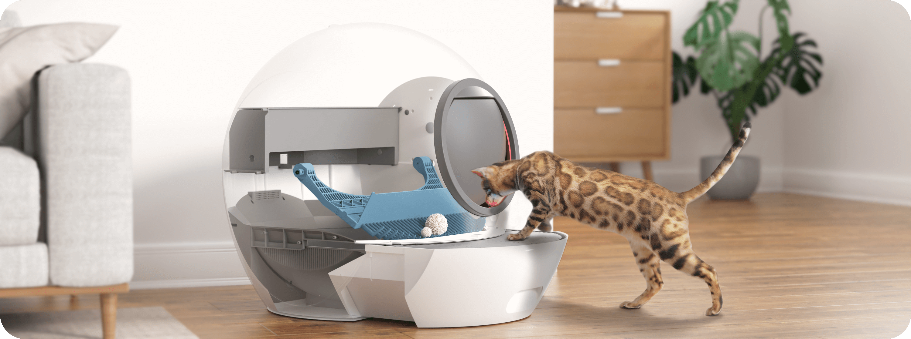 Smart Litters