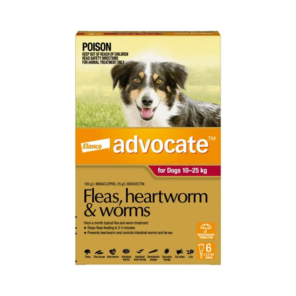 Flea & Worming for dog — petpawz.com.au