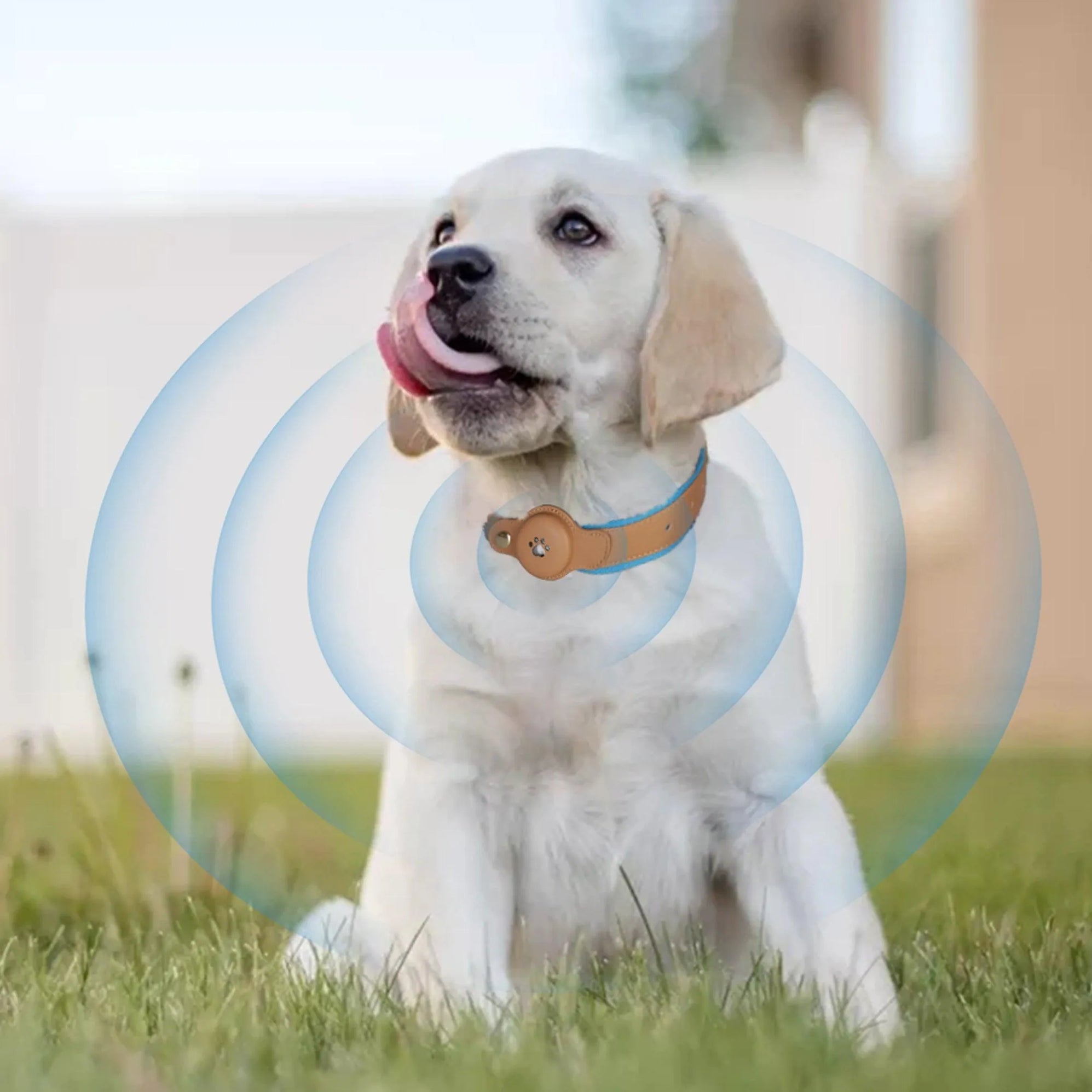 Pet AirTag Bluetooth Collar
