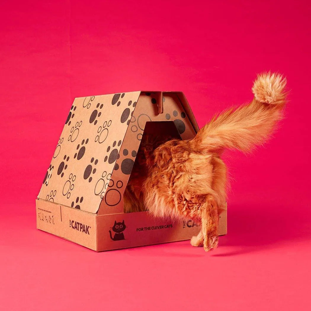 Disposable Cat Litter Trays with Litter CATPAK