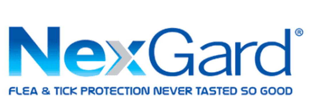 NexGard Large Dog - Red (6 Pack) — petpawz.com.au